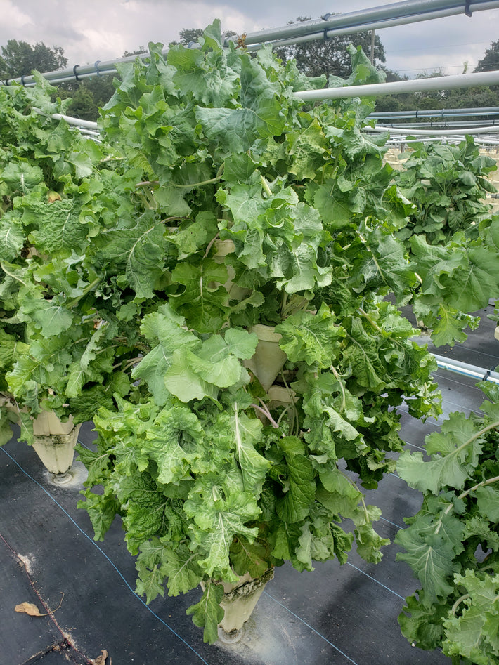 Gallery – Hydro Stacker Systems