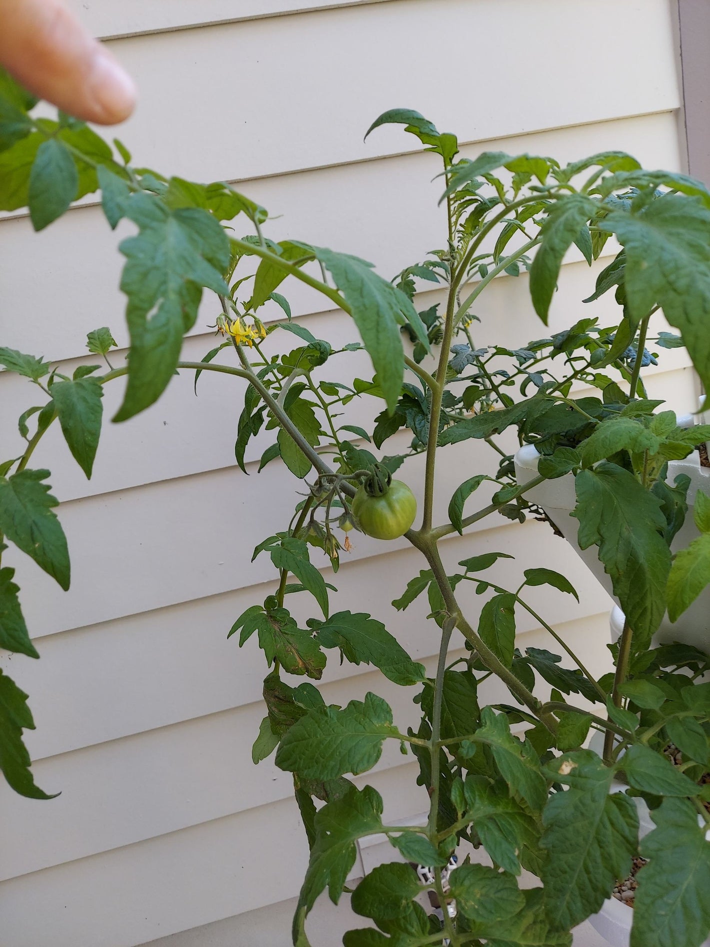 Hydro Stacker Systems